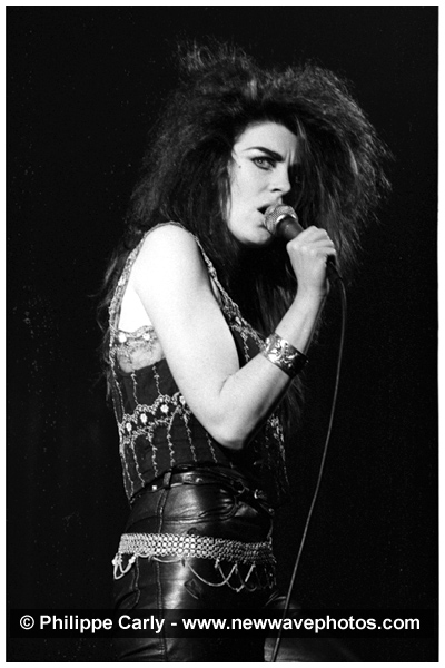 Picture of The March Violets