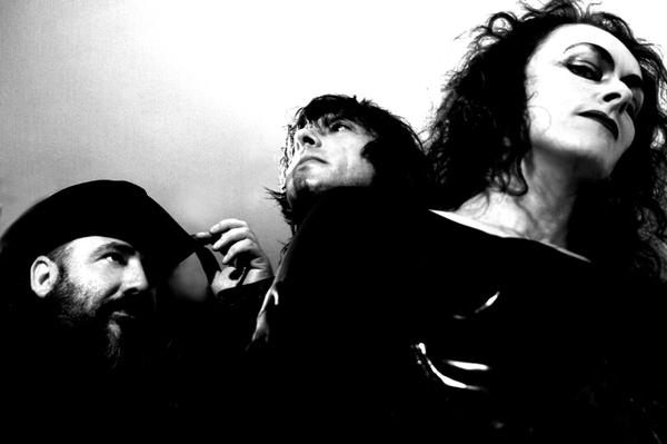 Picture of The March Violets