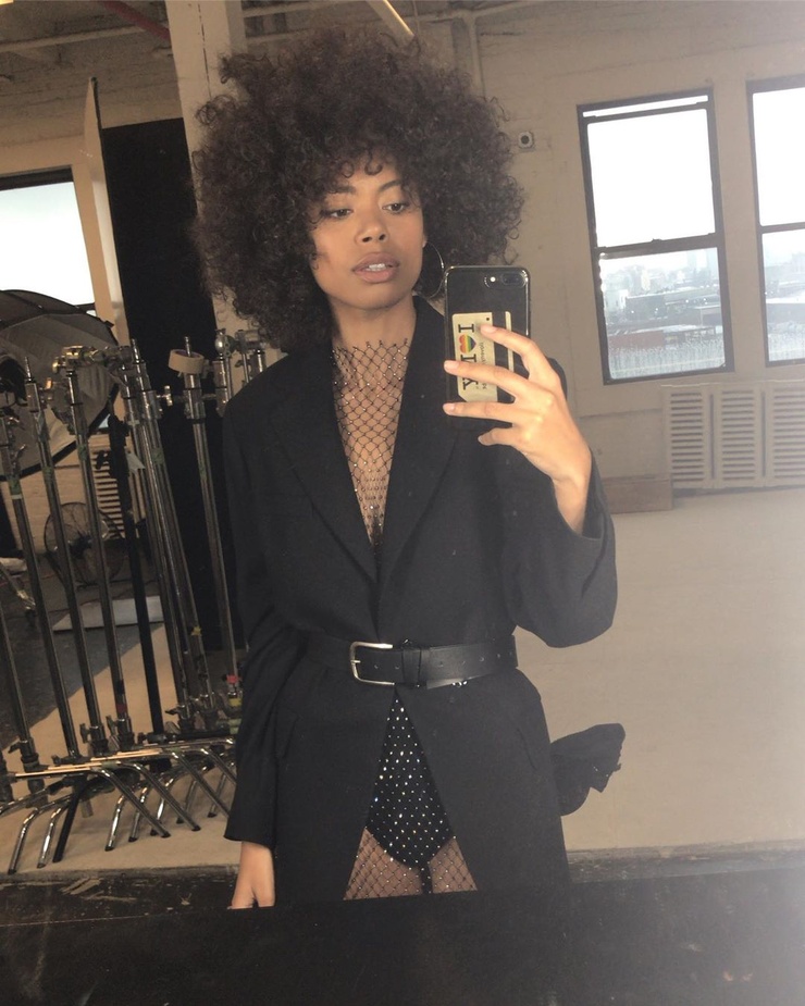 Picture of Nereyda Bird