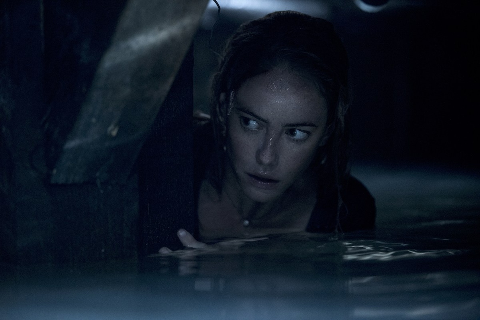 Picture of Crawl