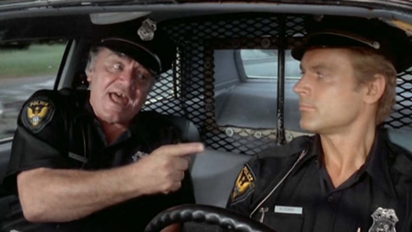 Picture of Super Fuzz