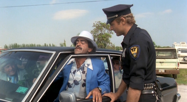 Picture of Super Fuzz