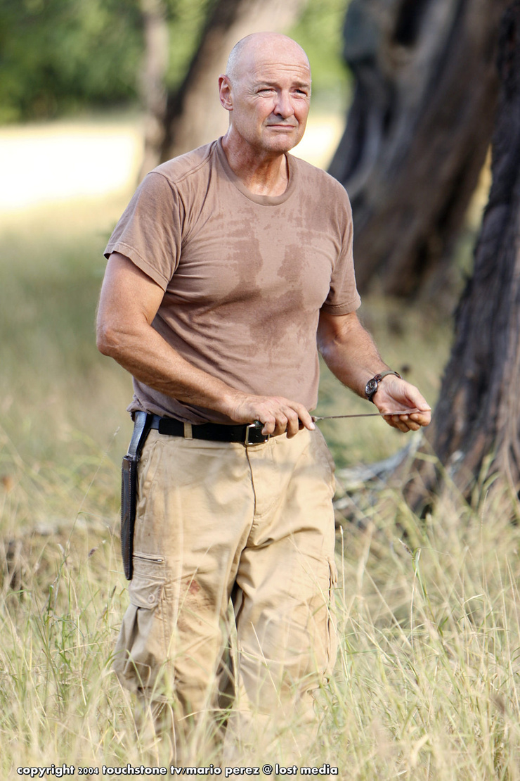 Picture of Lost