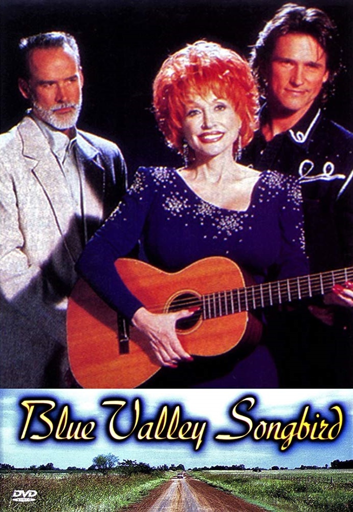 Image of Blue Valley Songbird