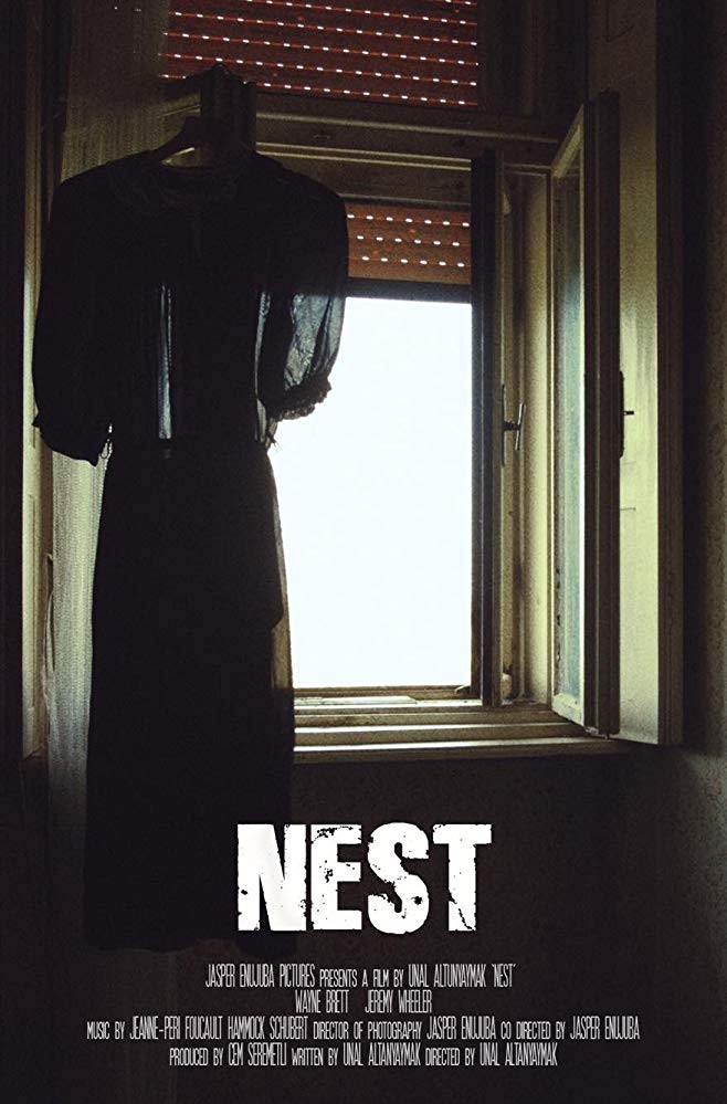 Picture of Nest (2017)