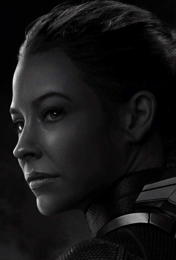 Picture of The Wasp / Hope van Dyne (Evangeline Lilly)