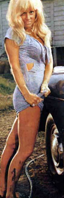 Picture of Joy Harmon