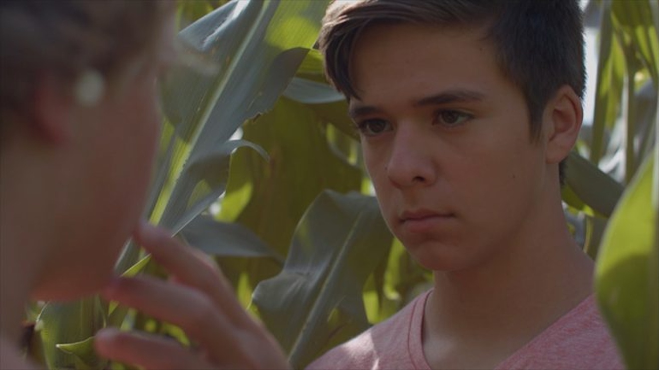 Picture of The Deaf Boy's Disease