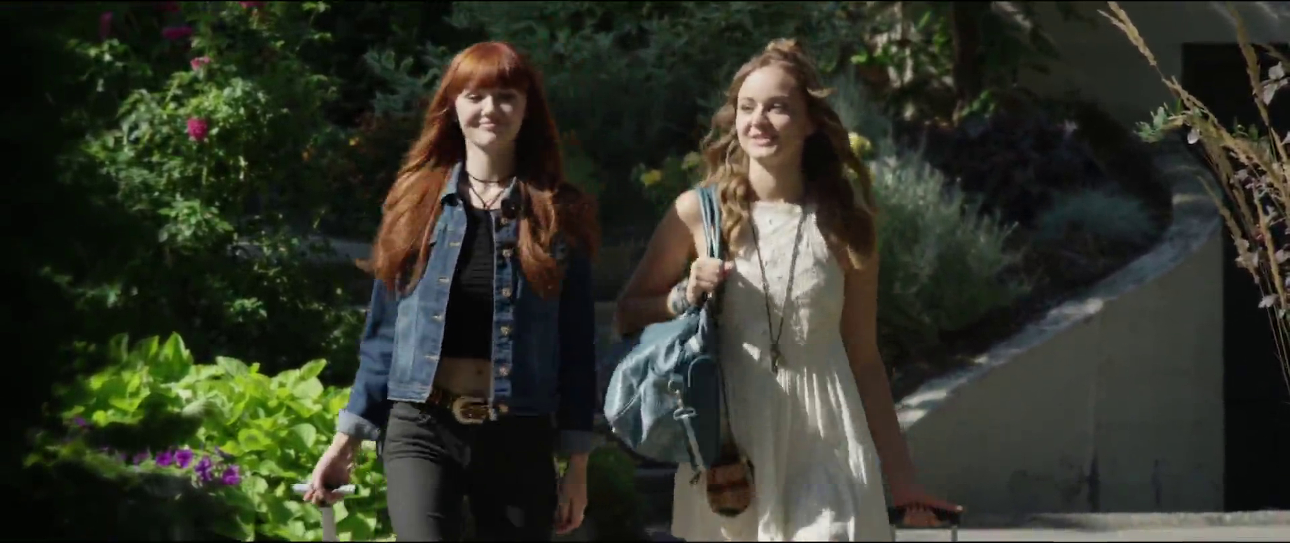 Picture of The Recall