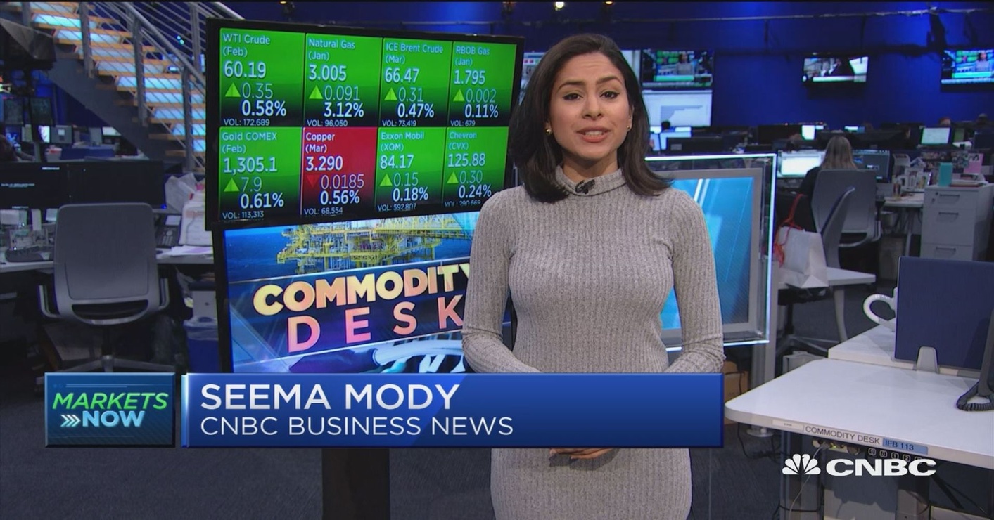 Picture of Seema Mody