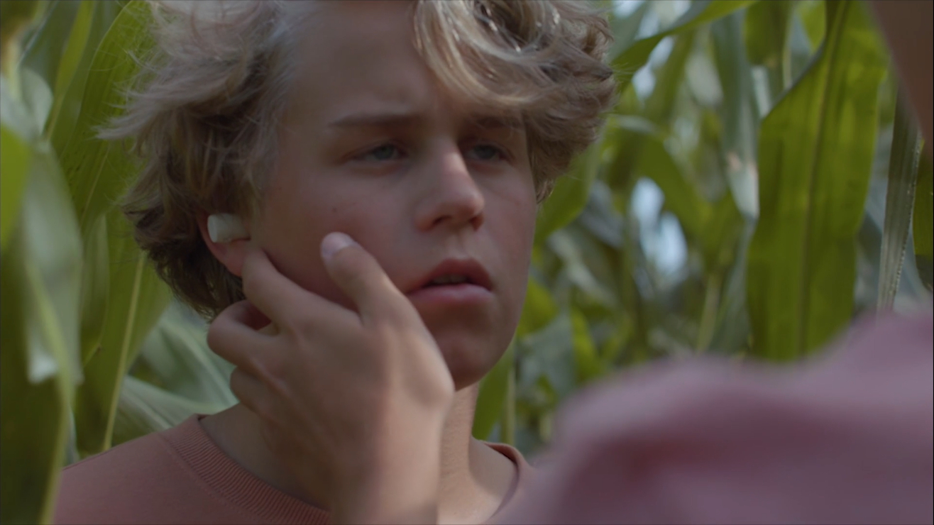 Picture of The Deaf Boy's Disease