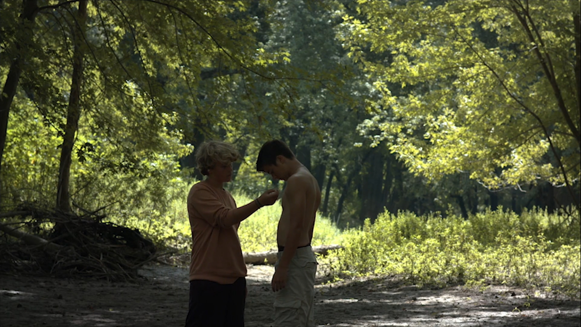 Picture of The Deaf Boy's Disease