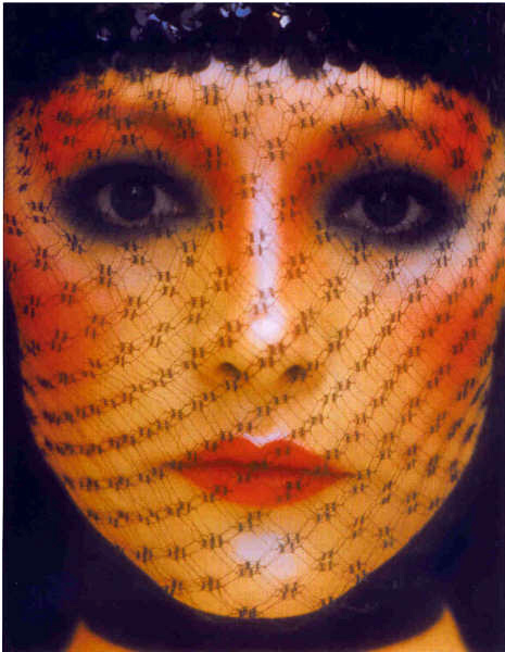 Picture of Cathee Dahmen