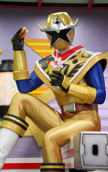 Picture of Gold Ranger