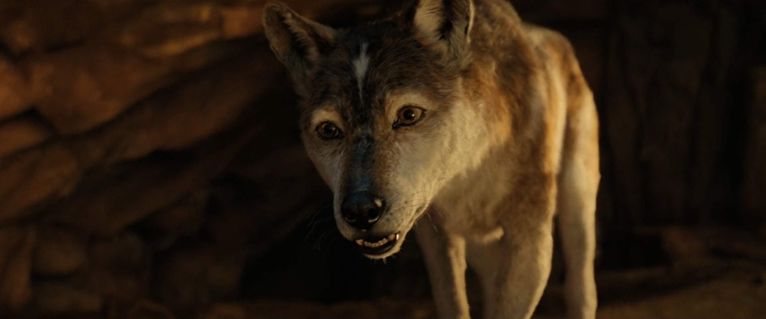 Picture of Mowgli: Legend of the Jungle