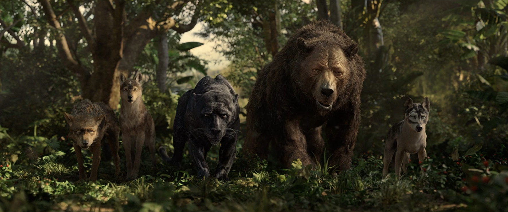 Picture of Mowgli: Legend of the Jungle