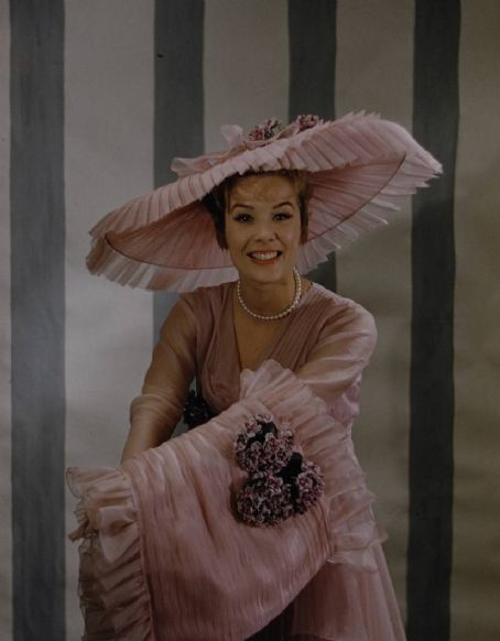 Sally Ann Howes picture