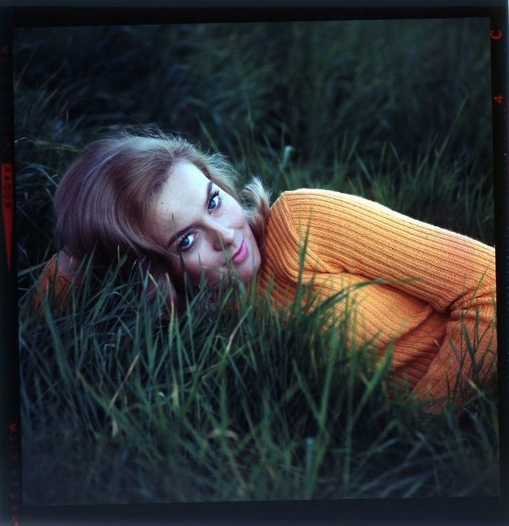 Picture of Venita Wolf