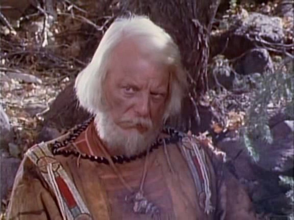 Picture of The Life and Times of Grizzly Adams