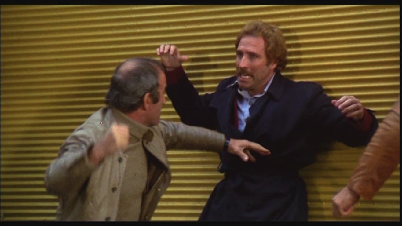 Image of Magnum Cops