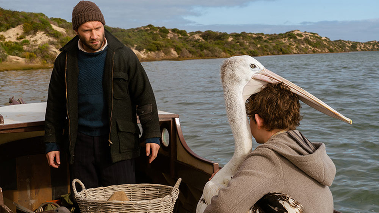 Picture of Storm Boy
