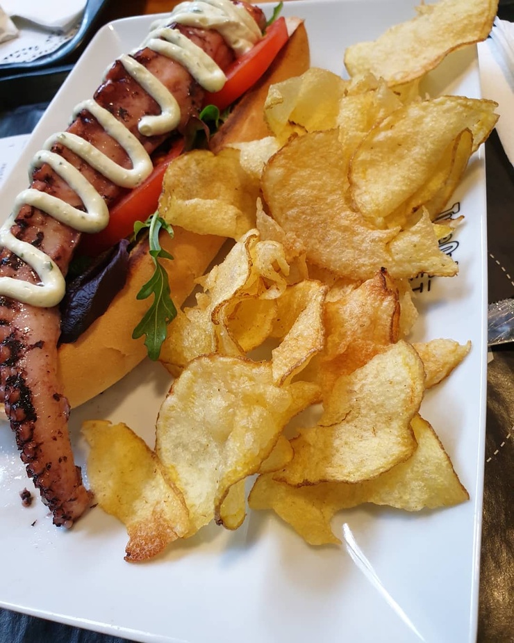 Picture of Octopus Dog