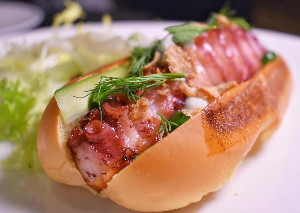 Picture of Octopus Dog