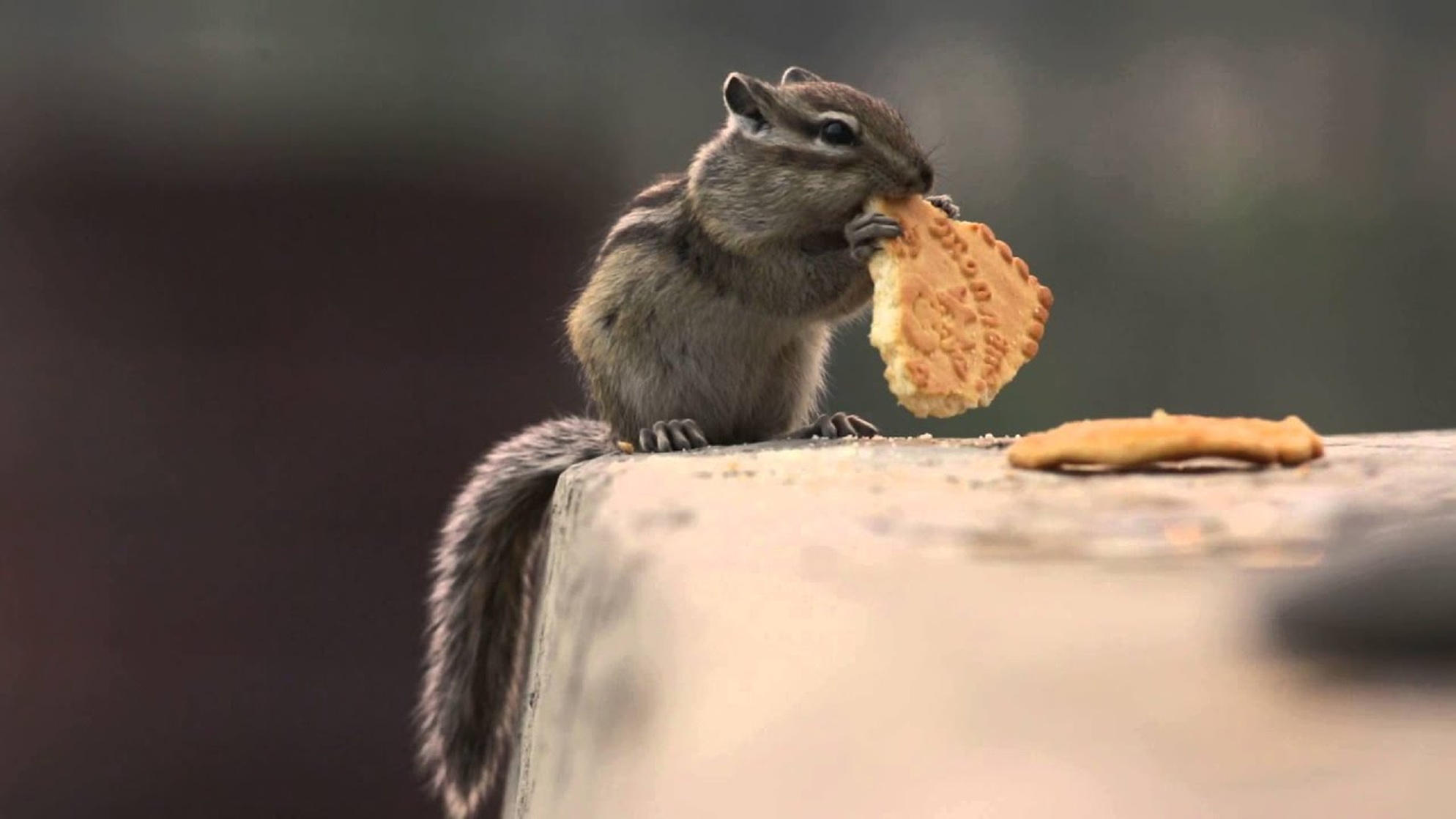 Listal - List the stuff you love! Movies, TV, music, games and books