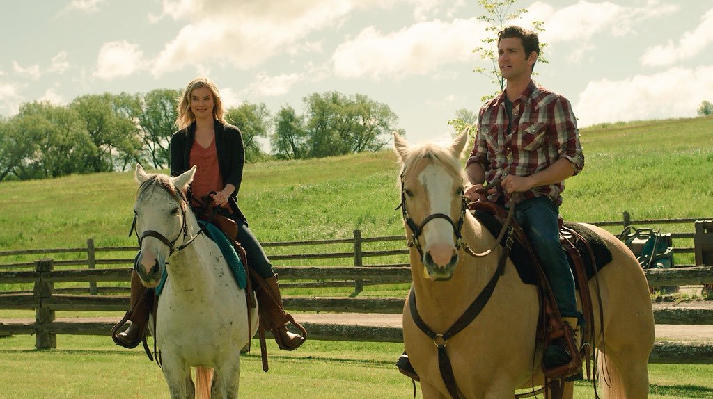 Autumn Stables picture