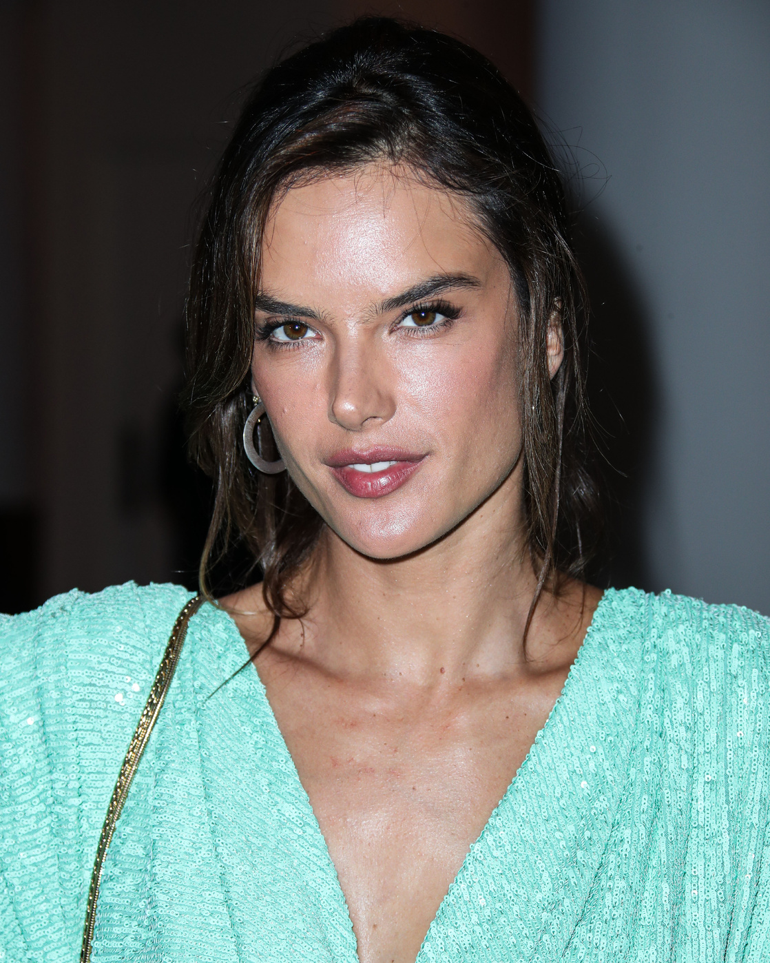 Picture of Alessandra Ambrosio