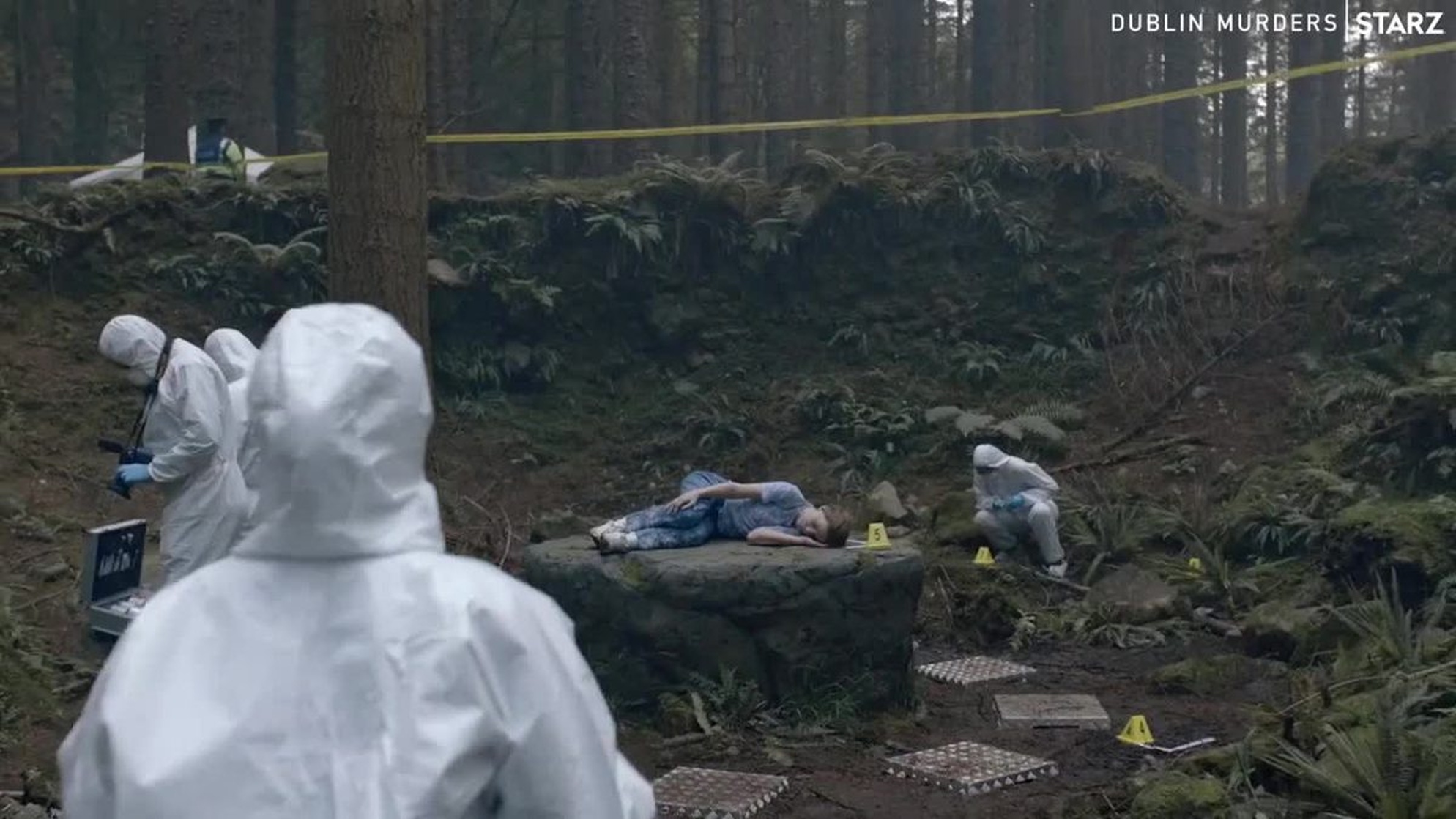 Dublin Murders image