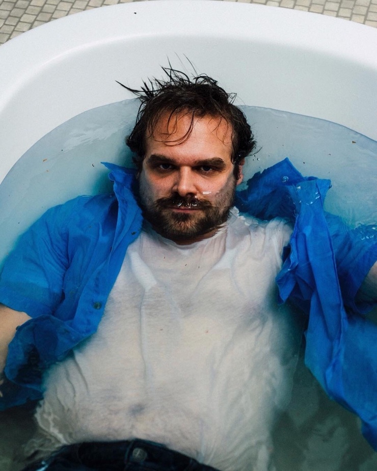 David Harbour picture