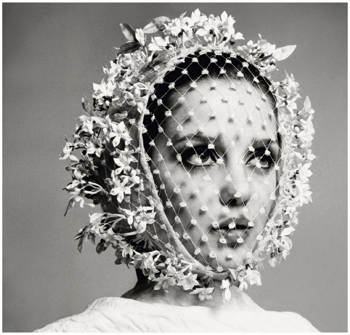 Image of Donna Mitchell