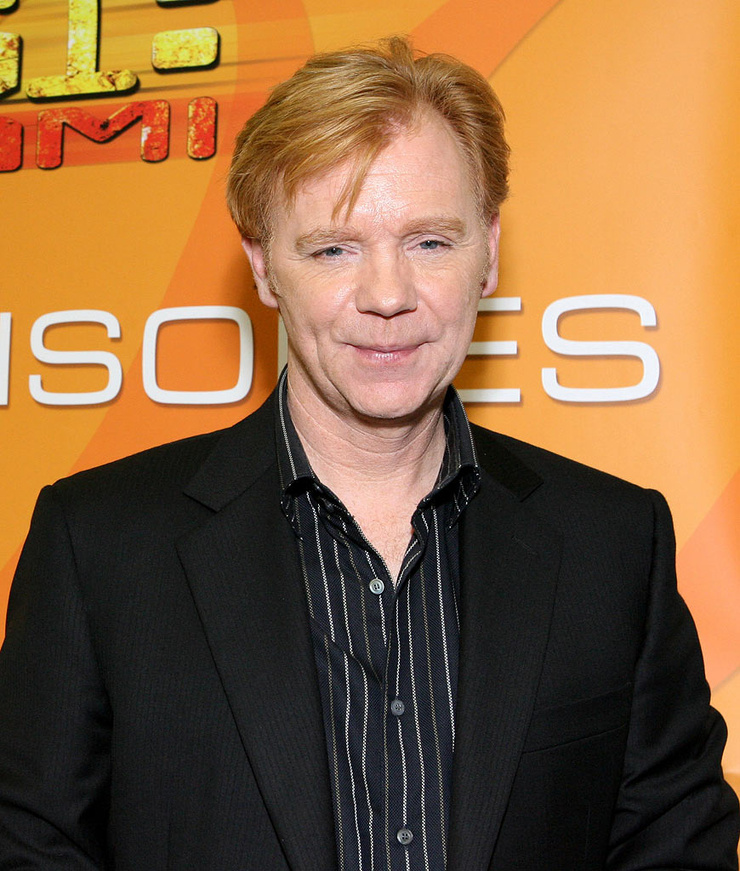 Picture of David Caruso