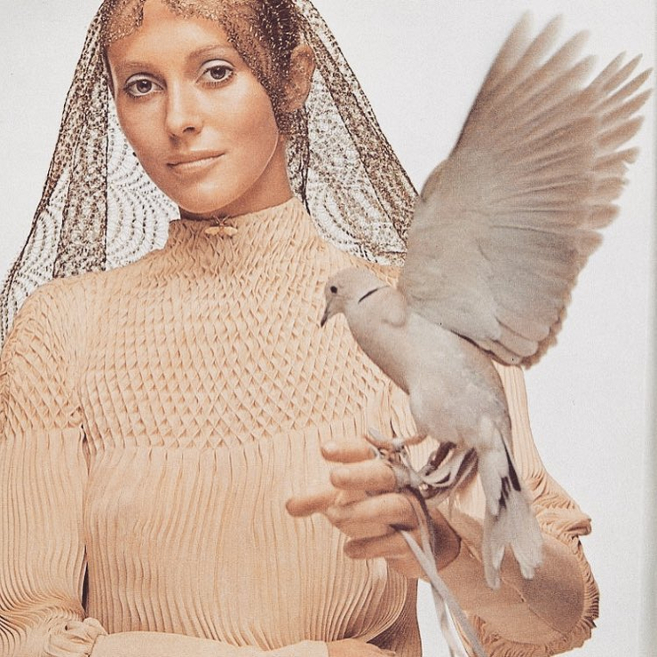 Berkley Johnson picture