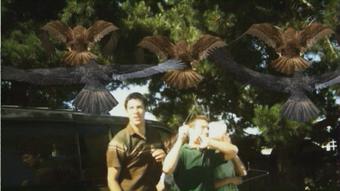 Picture of Birdemic: Shock and Terror