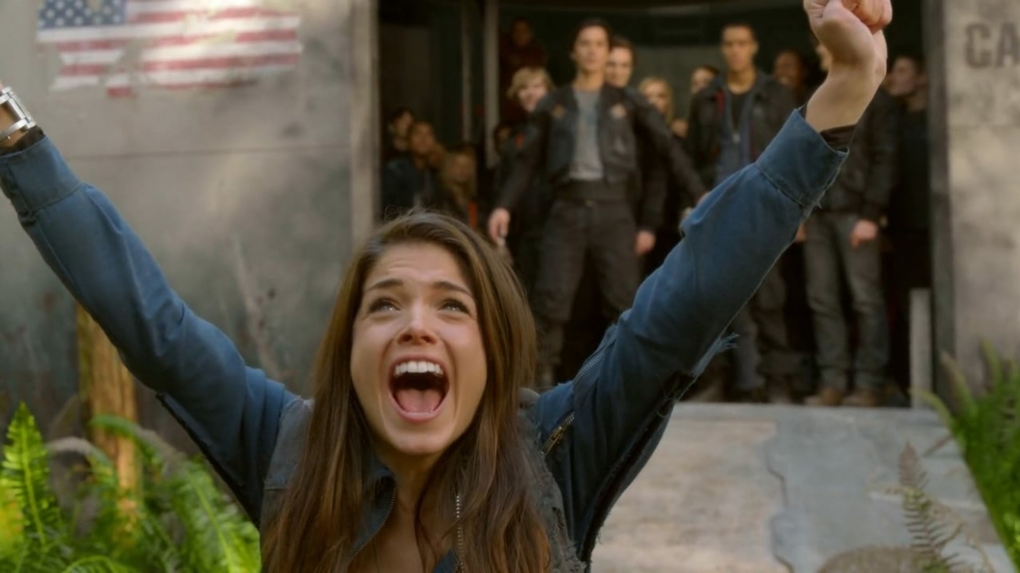 The 100 picture