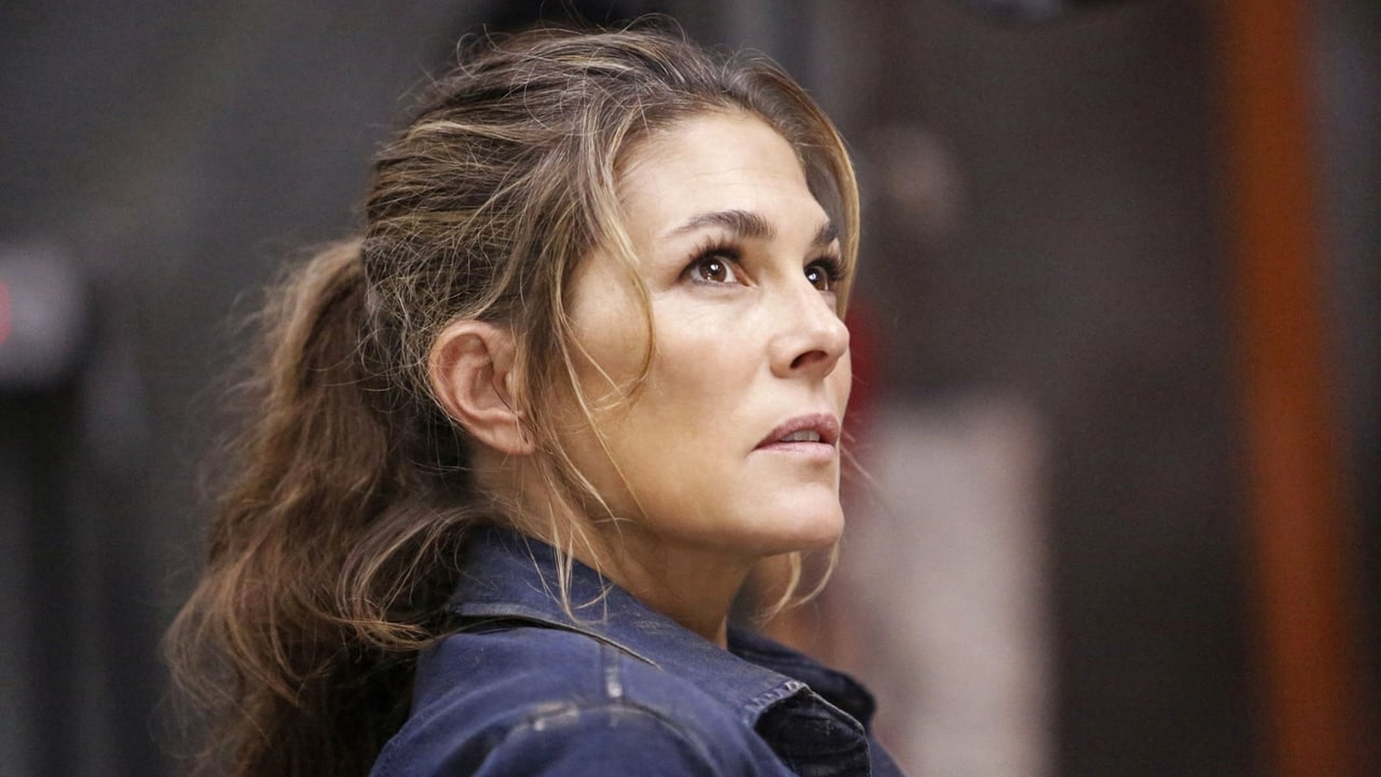 Picture of Paige Turco
