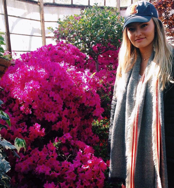 Picture of Sydney Card