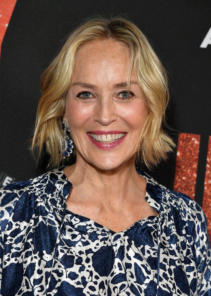Picture of Sharon Stone
