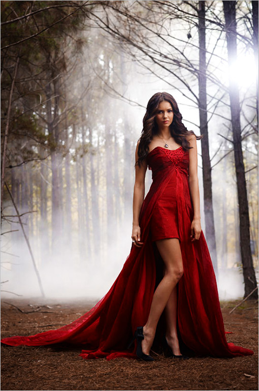 Picture of The Vampire Diaries