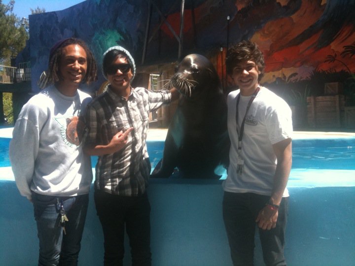 Picture of Allstar Weekend