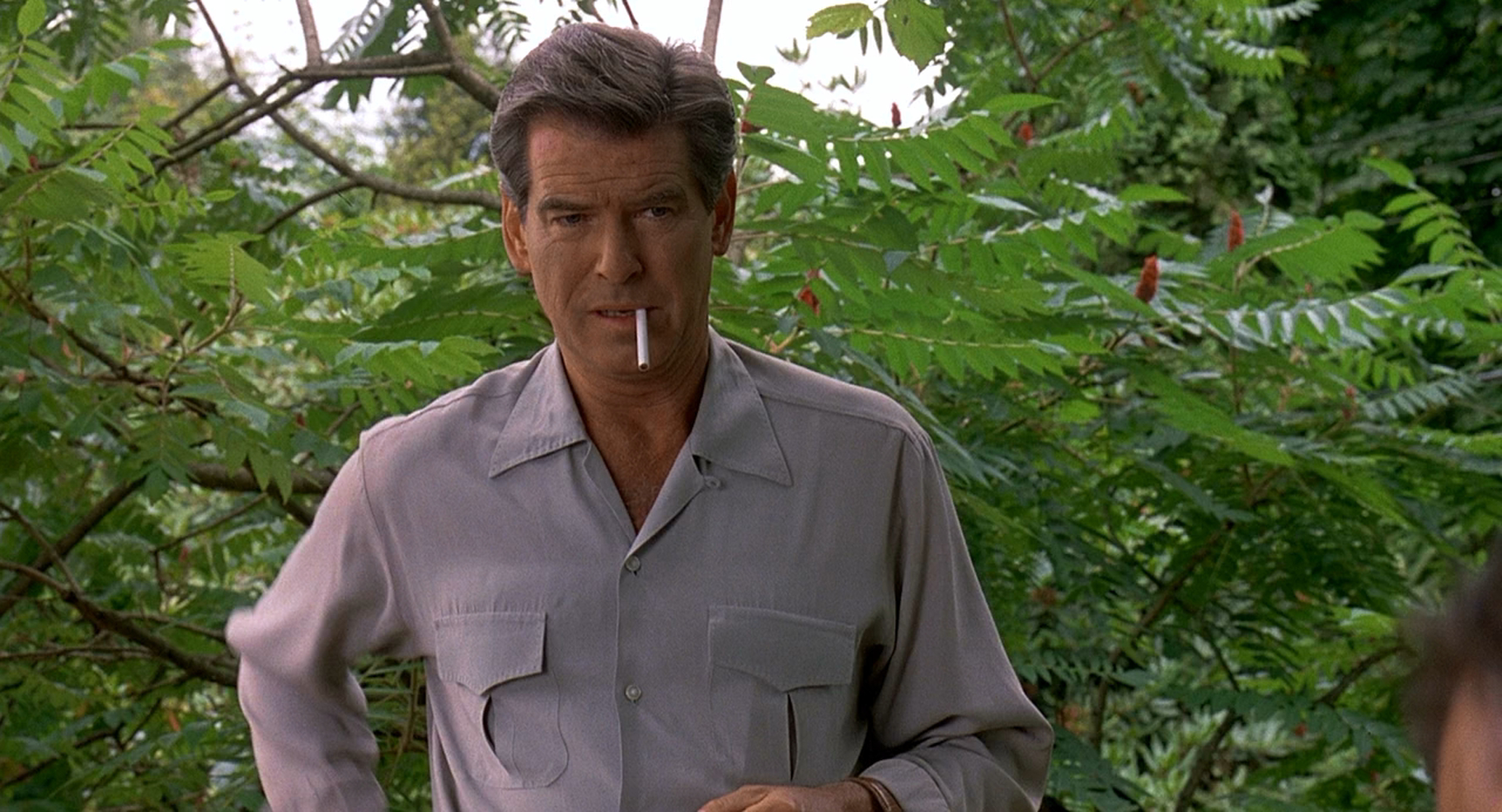 Picture of Married Life