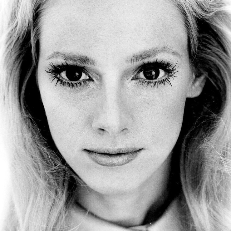 Picture of Sondra Locke