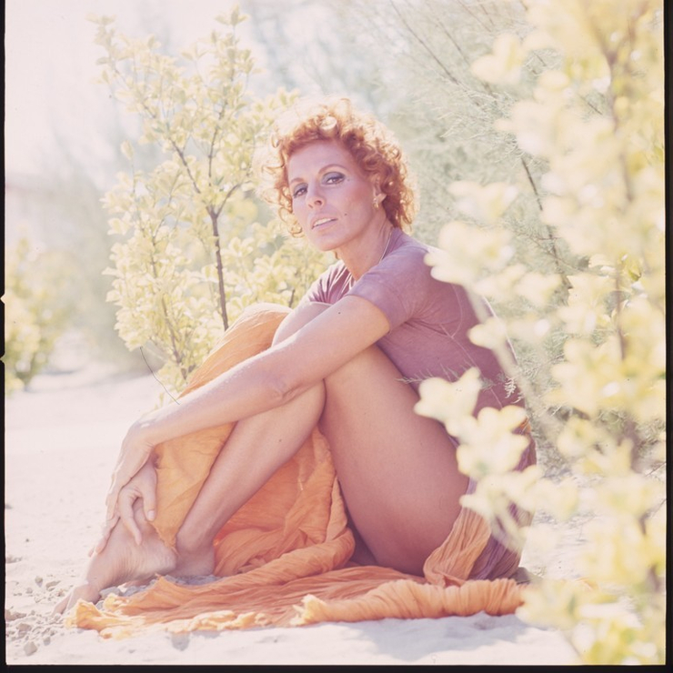 Picture of ornella vanoni