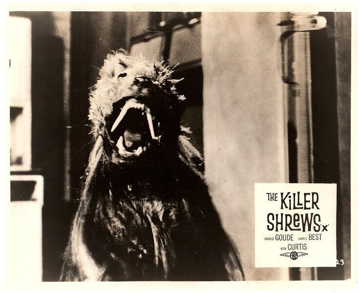 The Killer Shrews (1959) picture