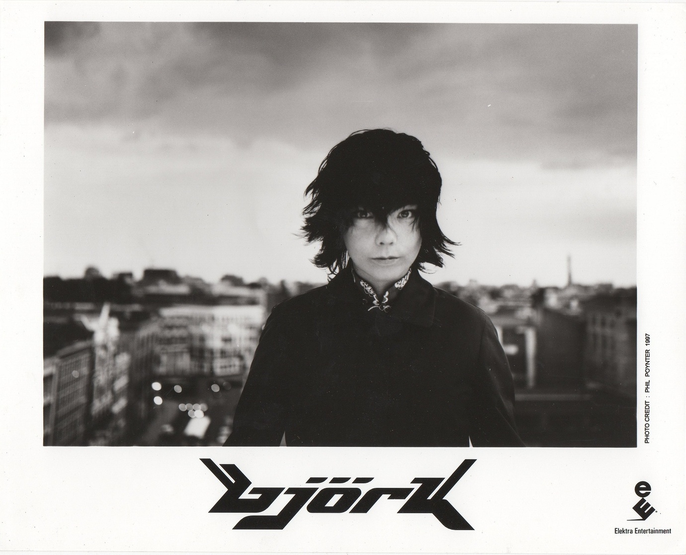 Picture of Björk
