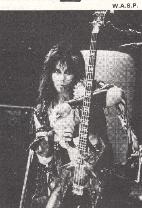 Picture of W.A.S.P.