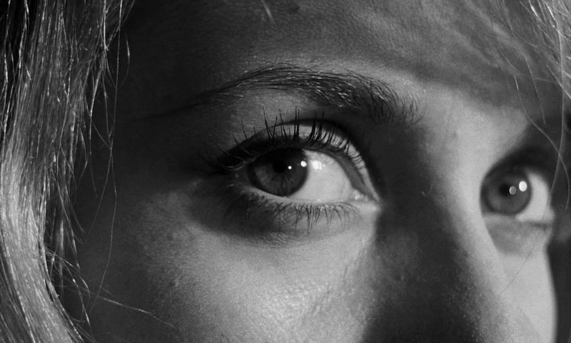 Picture of Repulsion