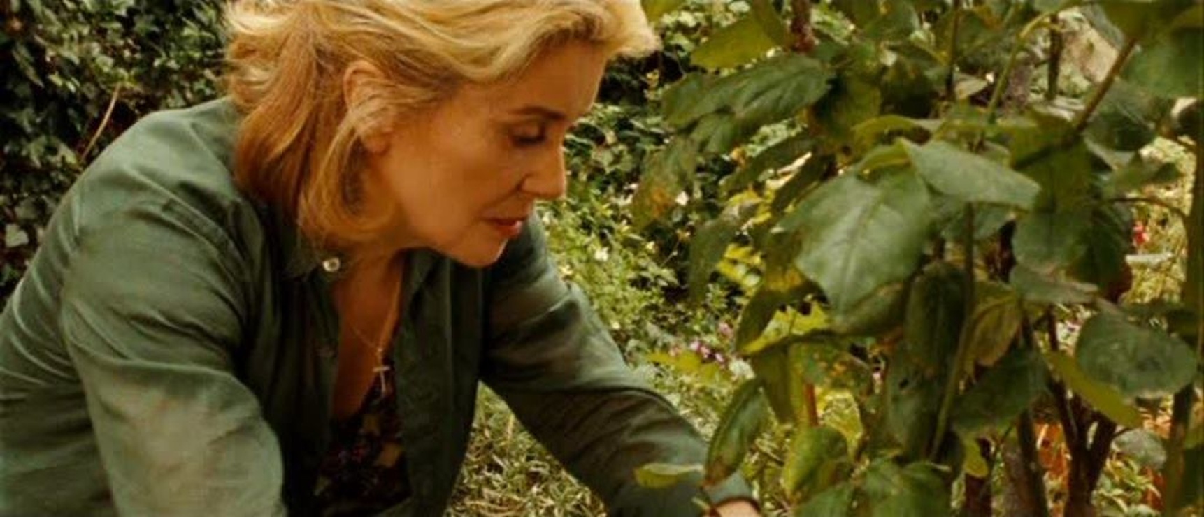 Picture of The Girl On The Train (2009)